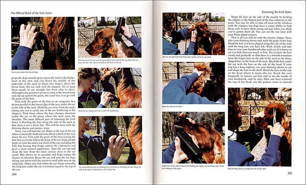 Setterhome - Buchtipp Official Book