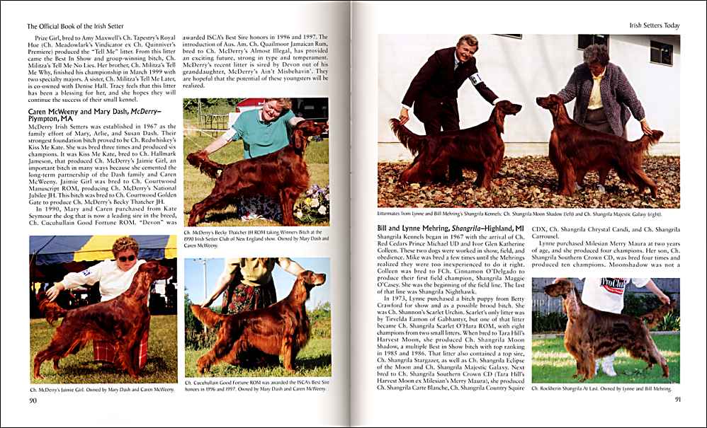 Setterhome - Buchtipp Official Book